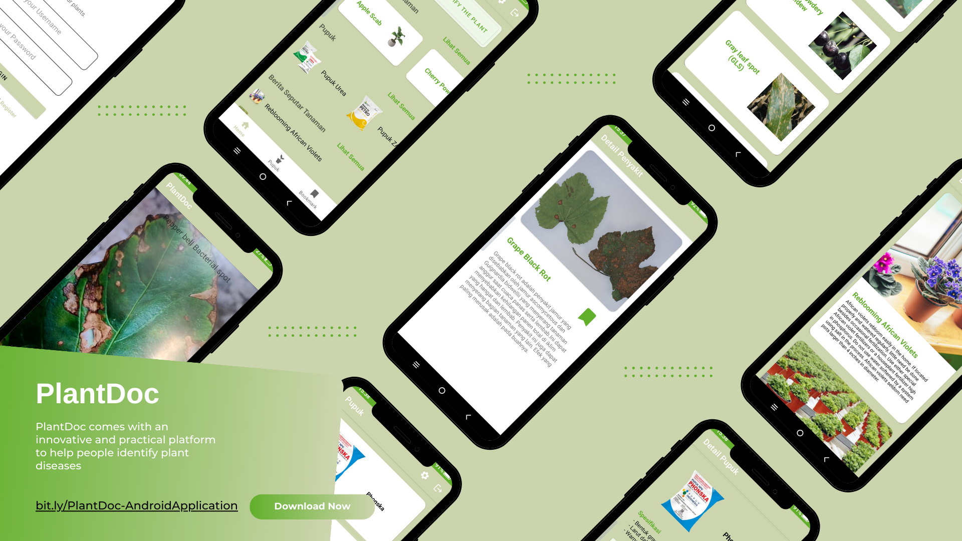 Portfolio - Diva Ariani